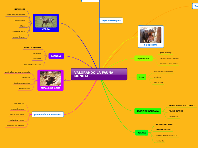 VALORANDO LA FAUNA MUNDIAL - Mind Map